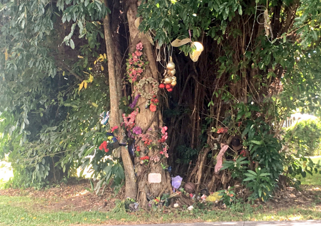 Murray Street murder charges dropped – Brianna Piazza